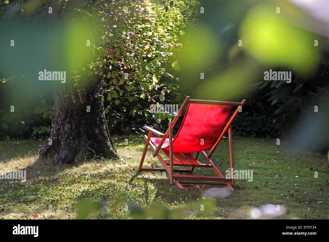 Red deck chair in the garden with big birch tree Stock Photo - Alamy