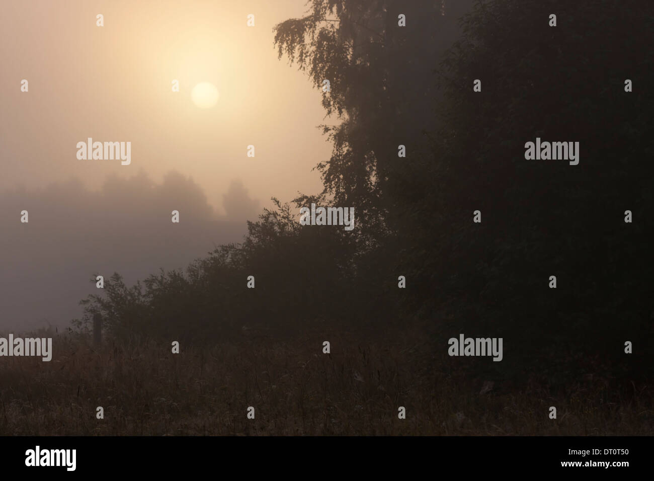 Sun rising nature hi-res stock photography and images - Alamy