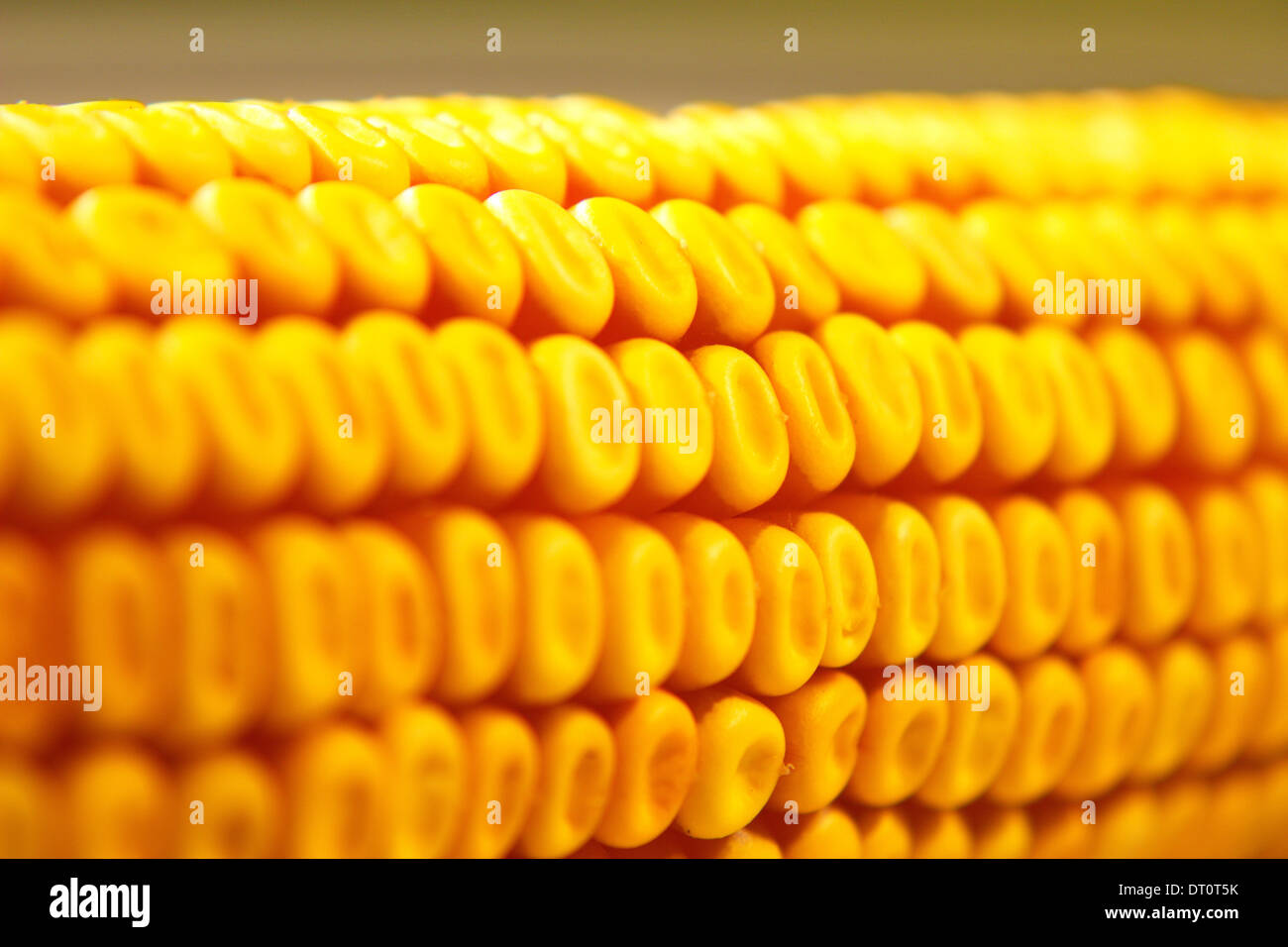 Corn vector hi-res stock photography and images - Alamy