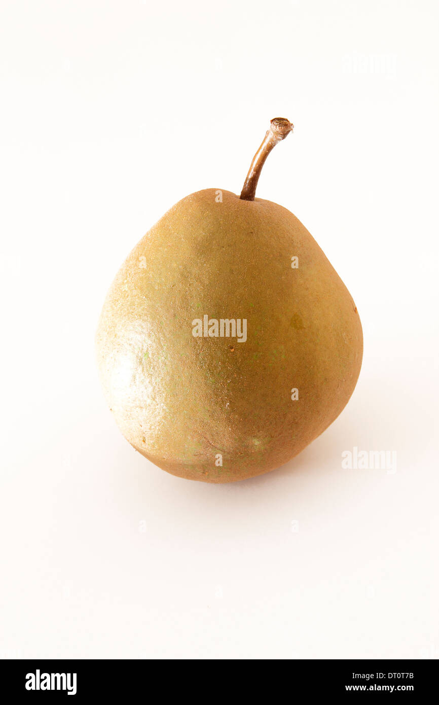 Worcester Black Pear ( Pyrus nigra ) on a White Background, UK Stock ...