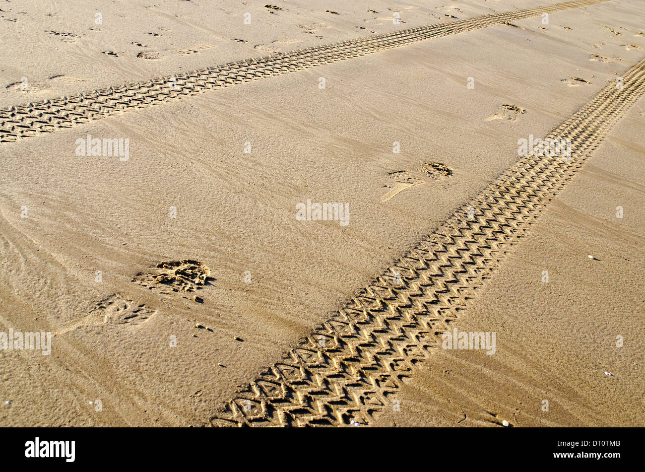 Tracks in Sand Stock Photo - Alamy