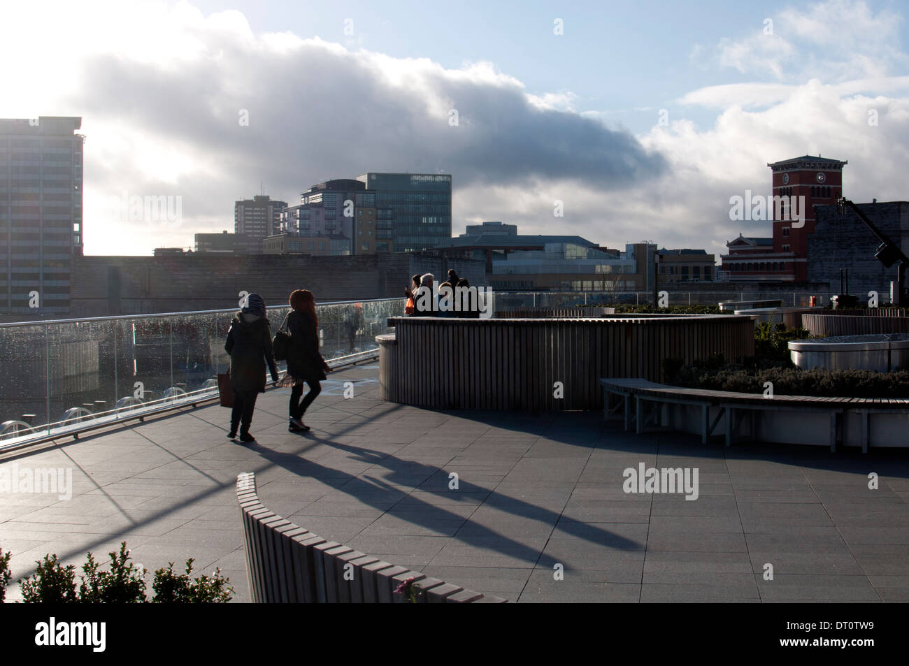 Library of Birmingham rooftop garden, Birmingham, UK Stock Photo - Alamy