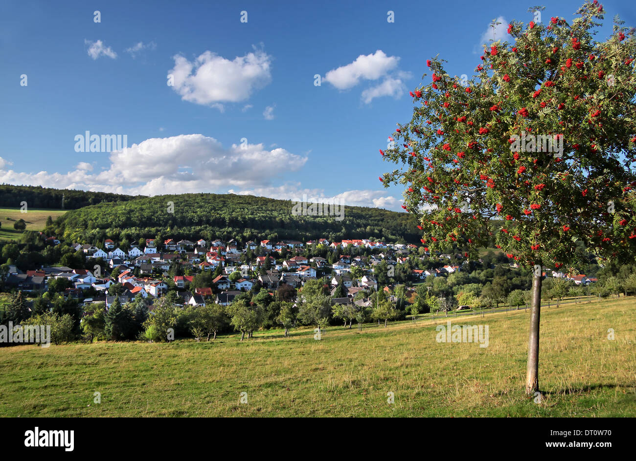 village in the Taunus mountains in summer time, Germany Stock Photo - Alamy