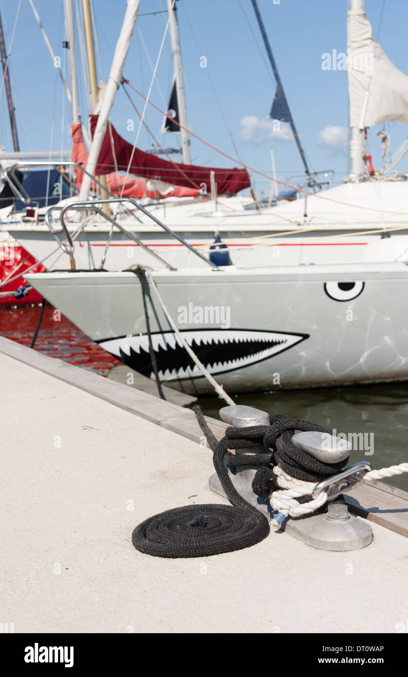 Boat With Shark Mouth