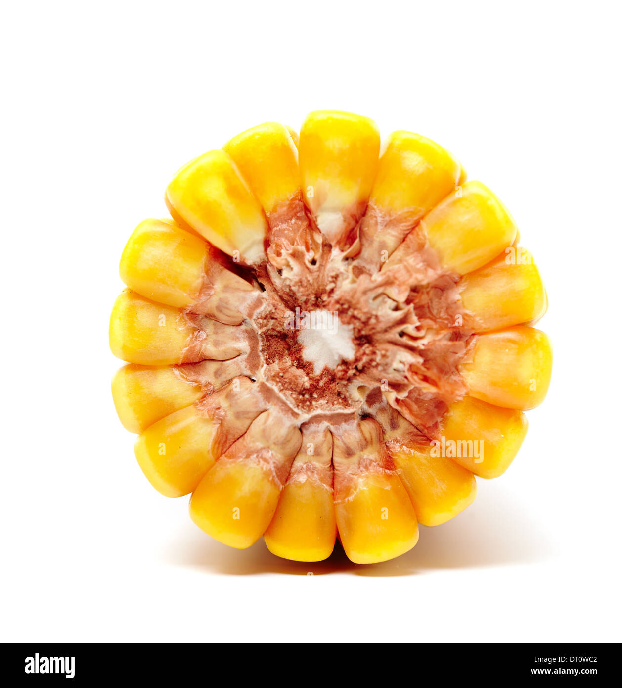 Chaff maize hi-res stock photography and images - Alamy