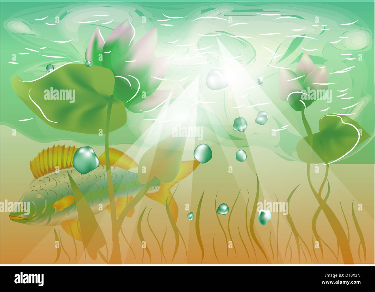 water flowers and fish. underwater background Stock Photo - Alamy