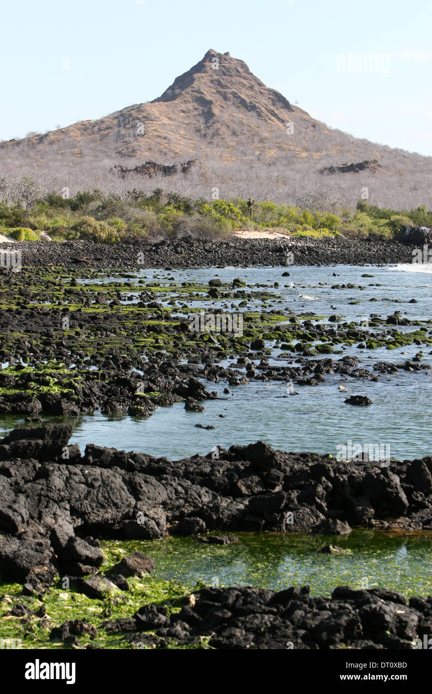 Galapagos landscape hi-res stock photography and images - Alamy