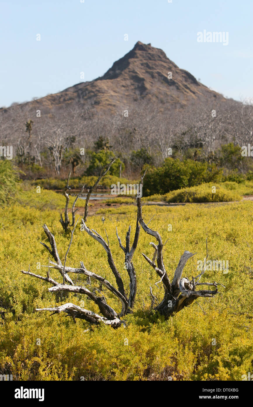 Galapagos landscape hi-res stock photography and images - Alamy