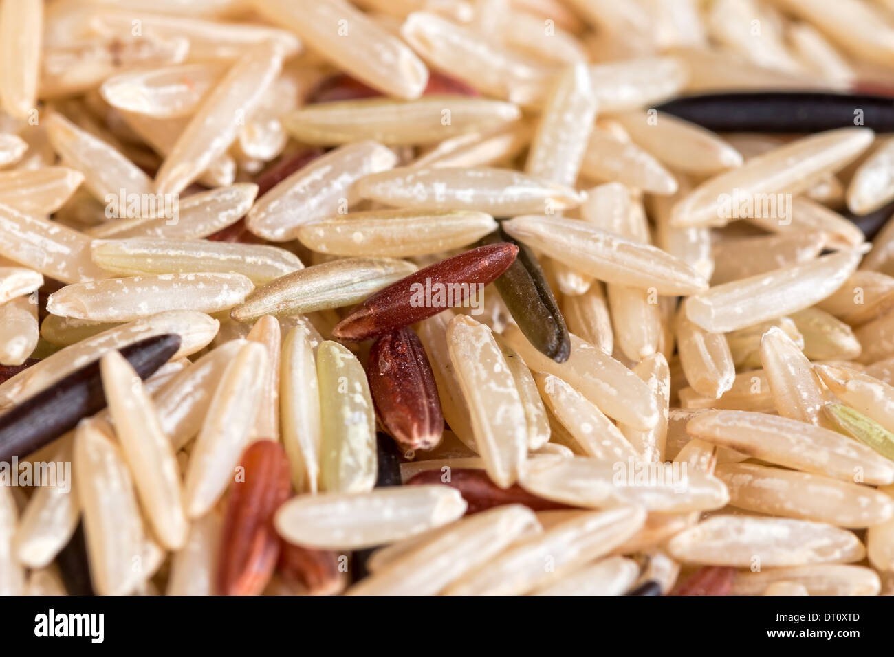 Close up photo from rice Stock Photo - Alamy