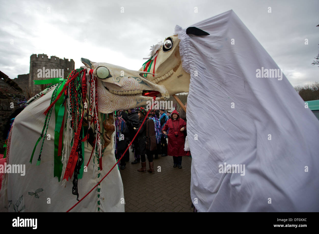 Mari lwyd horse skull hi-res stock photography and images - Alamy
