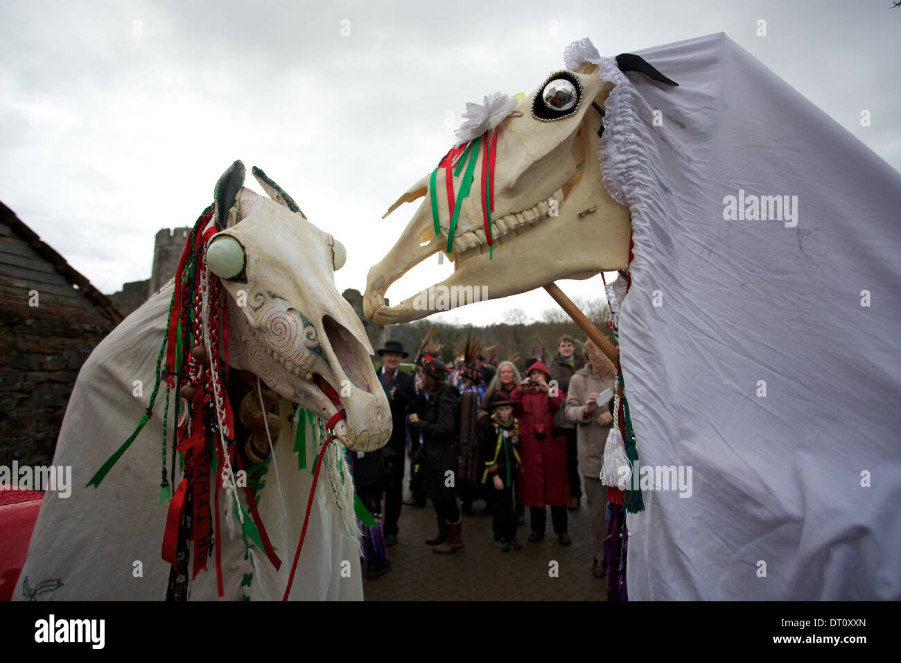 Mari lwyd horse skull hi-res stock photography and images - Alamy