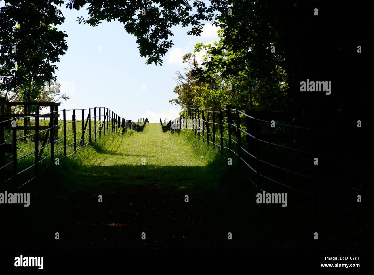 fenced fence walk trail path look looking view into sunlight from dark ...
