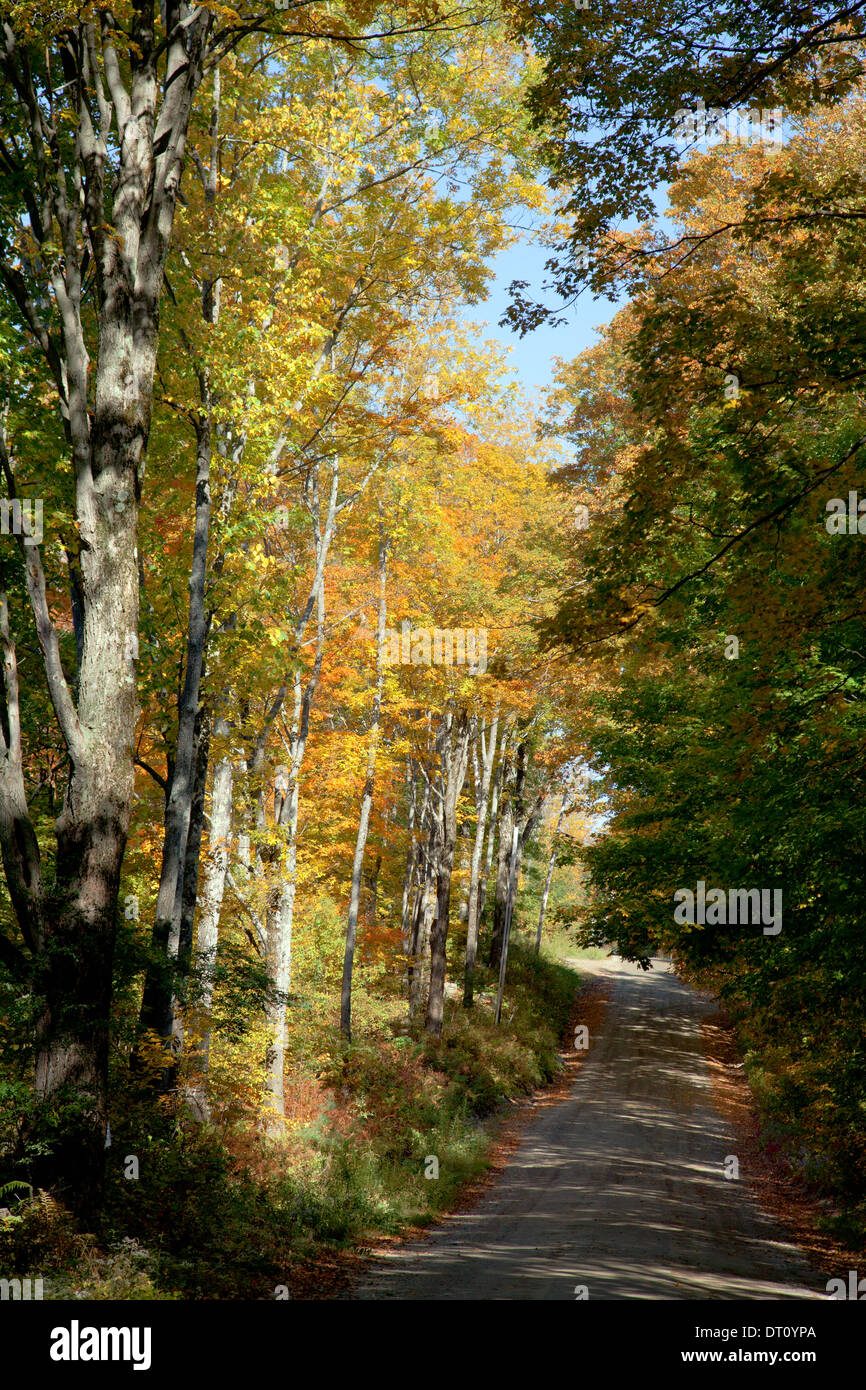 Graces lane hi-res stock photography and images - Alamy