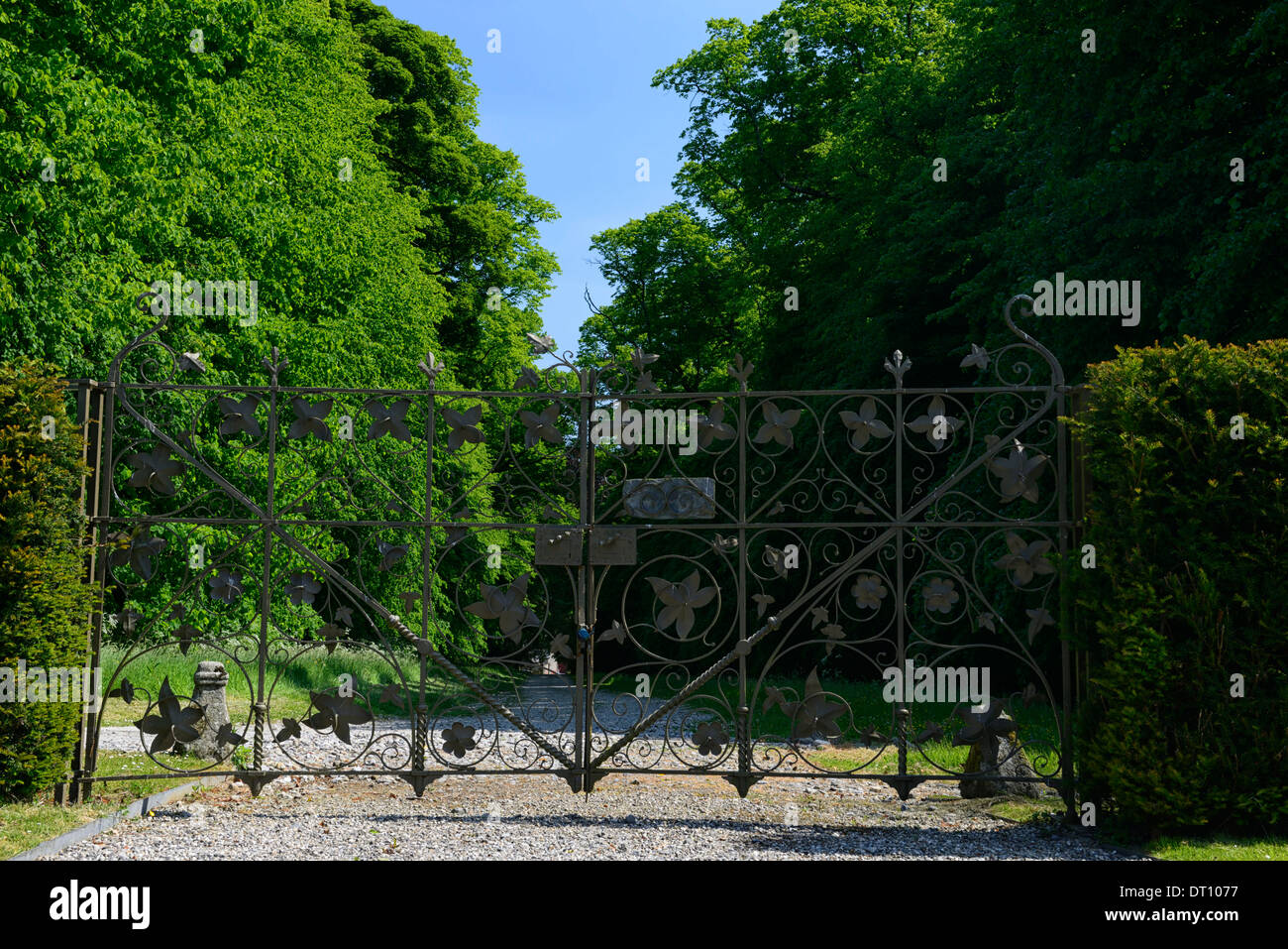 Clonegal castle hi-res stock photography and images - Alamy