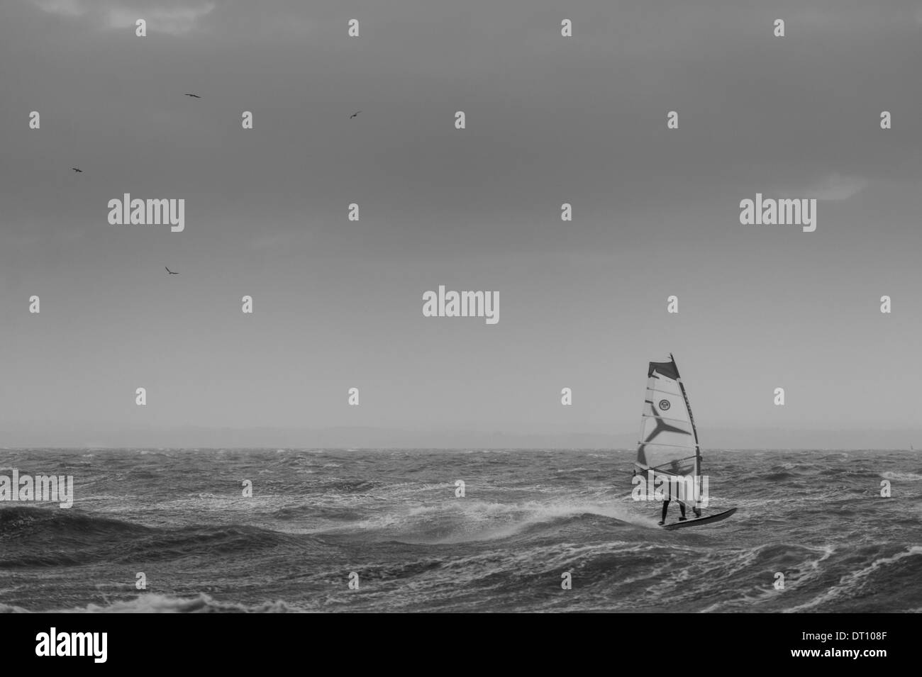 Windsurfer on rough sea Black and White Stock Photos & Images - Alamy