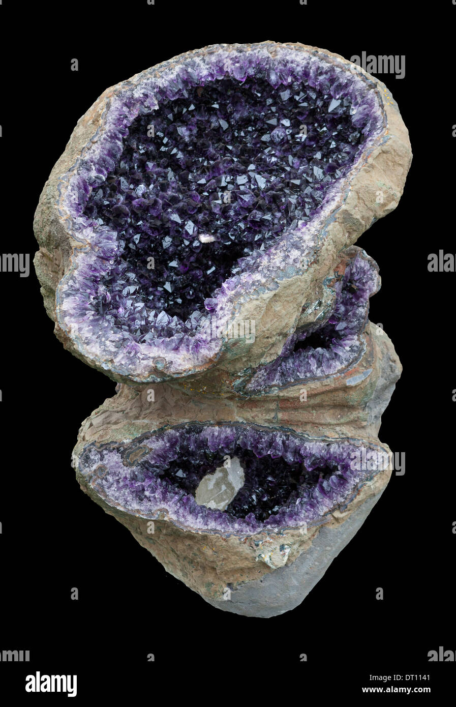 Violet variety hi-res stock photography and images - Alamy