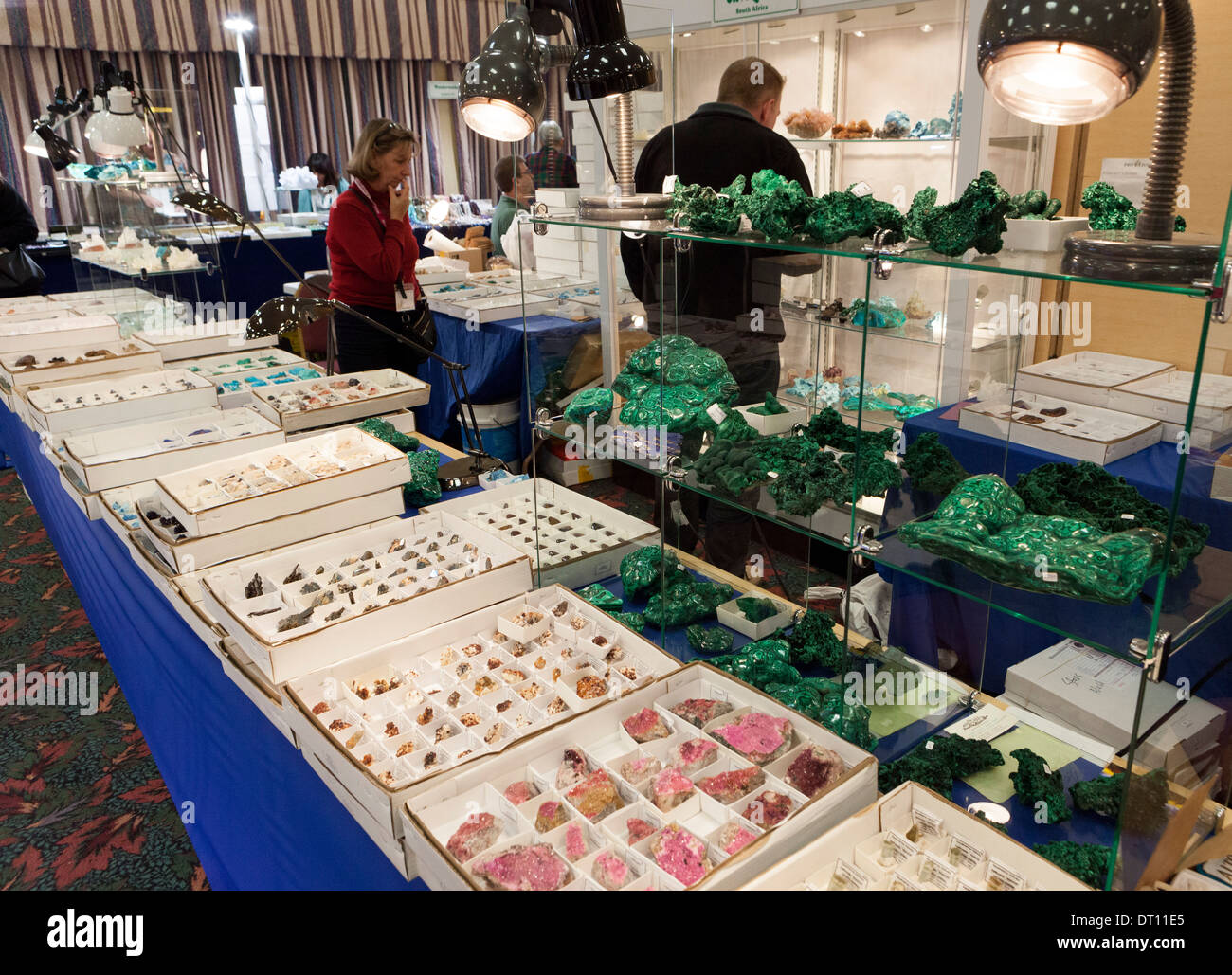 Displays of gems, minerals rocks, crystals, fossils, and meteorites at ...