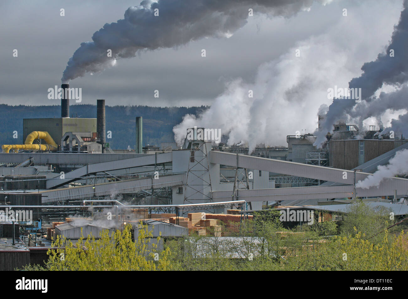 Pulp Mill Pollution High Resolution Stock Photography and Images - Alamy