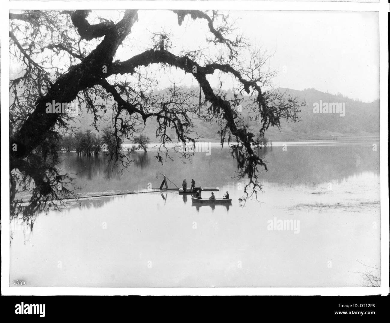 This photograph depicts fish traps at a spawning station in Ukiah ...