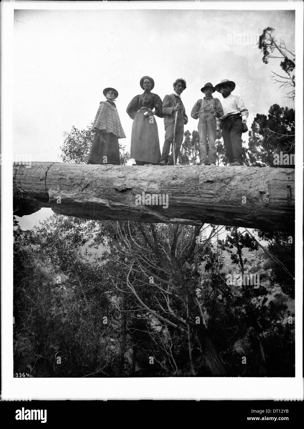 Photograph of five people standing on a petrified log, creating a ...