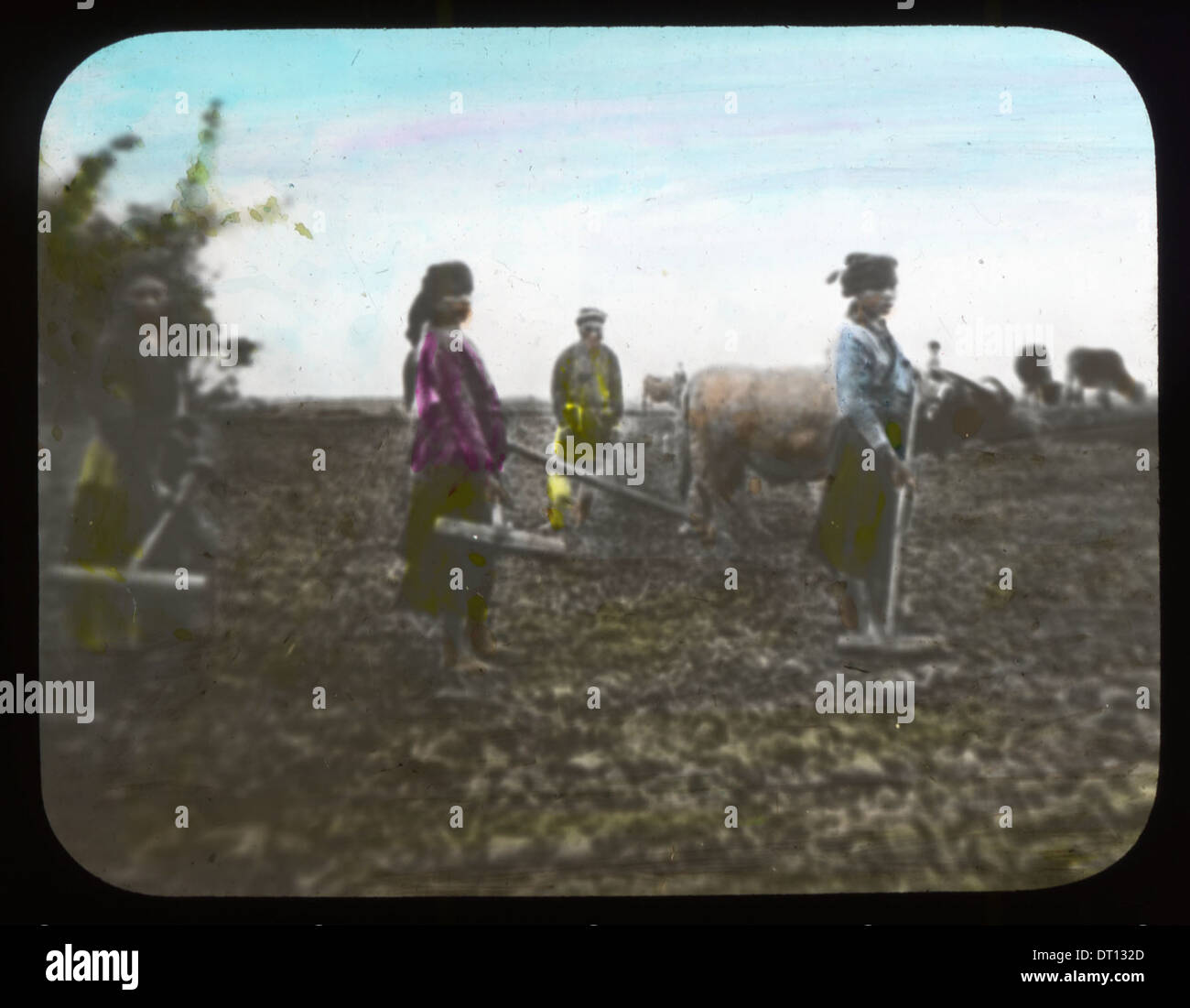Four Chinese farmers working in a field, China, ca. 1918-1938 (M Stock ...