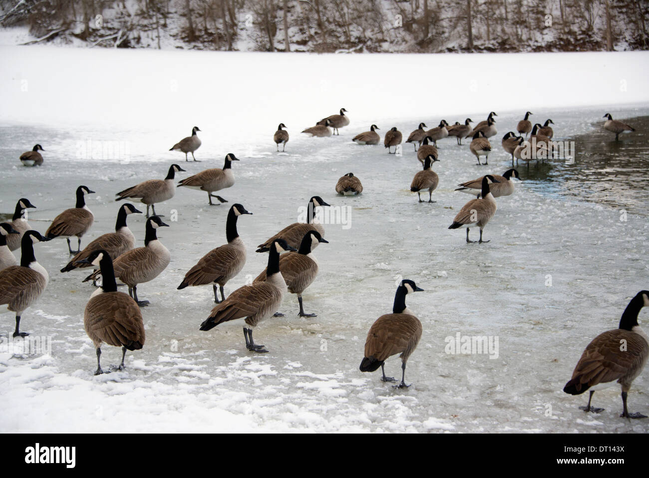 Frozen feet hi-res stock photography and images - Alamy