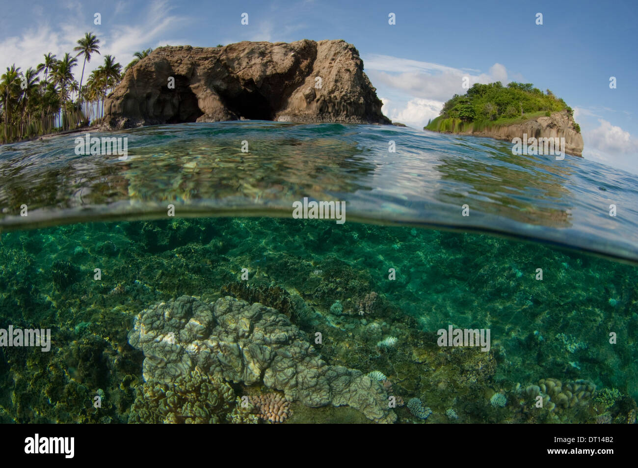 Half above half underwater hi-res stock photography and images - Alamy