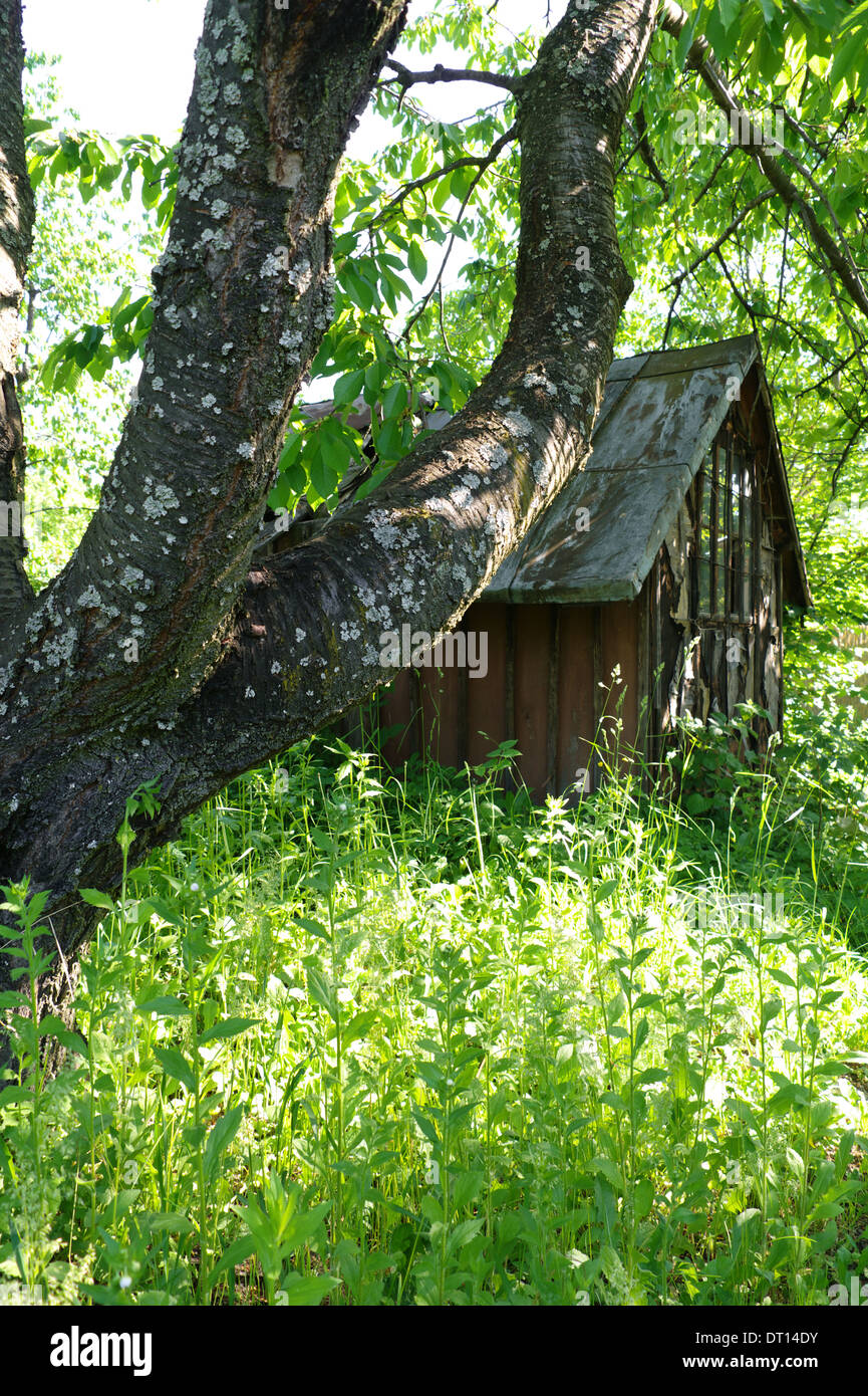 Scrub grass hi-res stock photography and images - Alamy