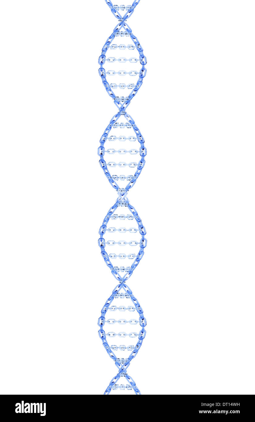 Glass chain forming a twisting dna strand isolated on a white ...