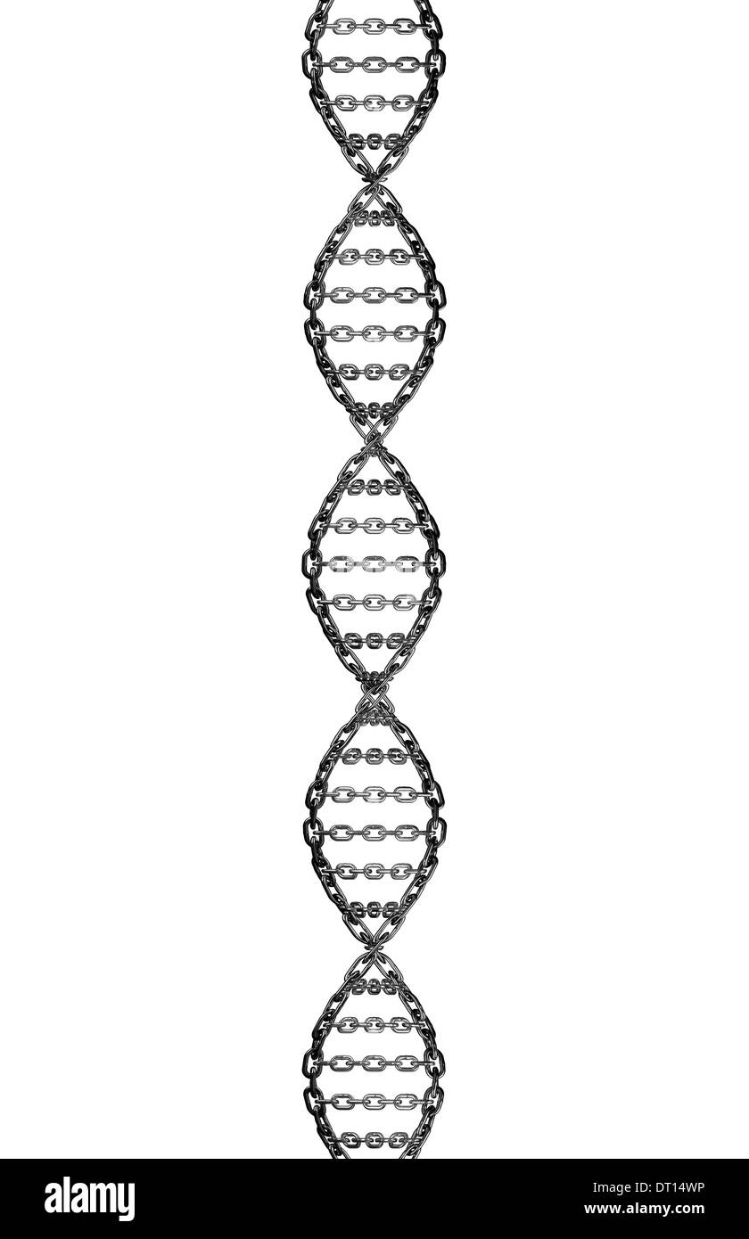Metal chain forming a twisting dna strand isolated on a white ...