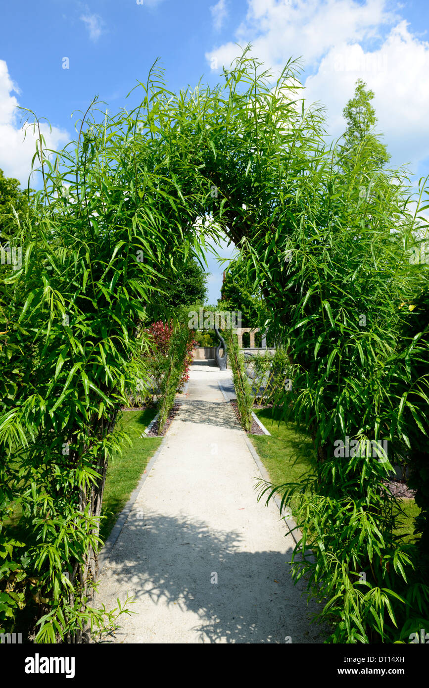 Willow tree sap sapling saplings cover covered arch pergola garden ...