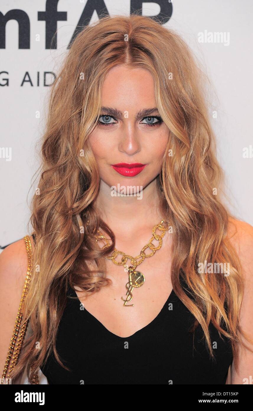 New York, NY, USA. 5th Feb, 2014. Katharina Damm at arrivals for amfAR ...