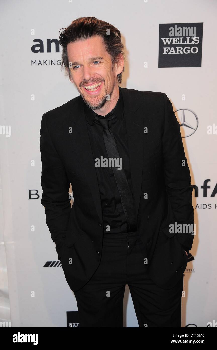 New York, NY, USA. 5th Feb, 2014. Ethan Hawke at arrivals for amfAR ...