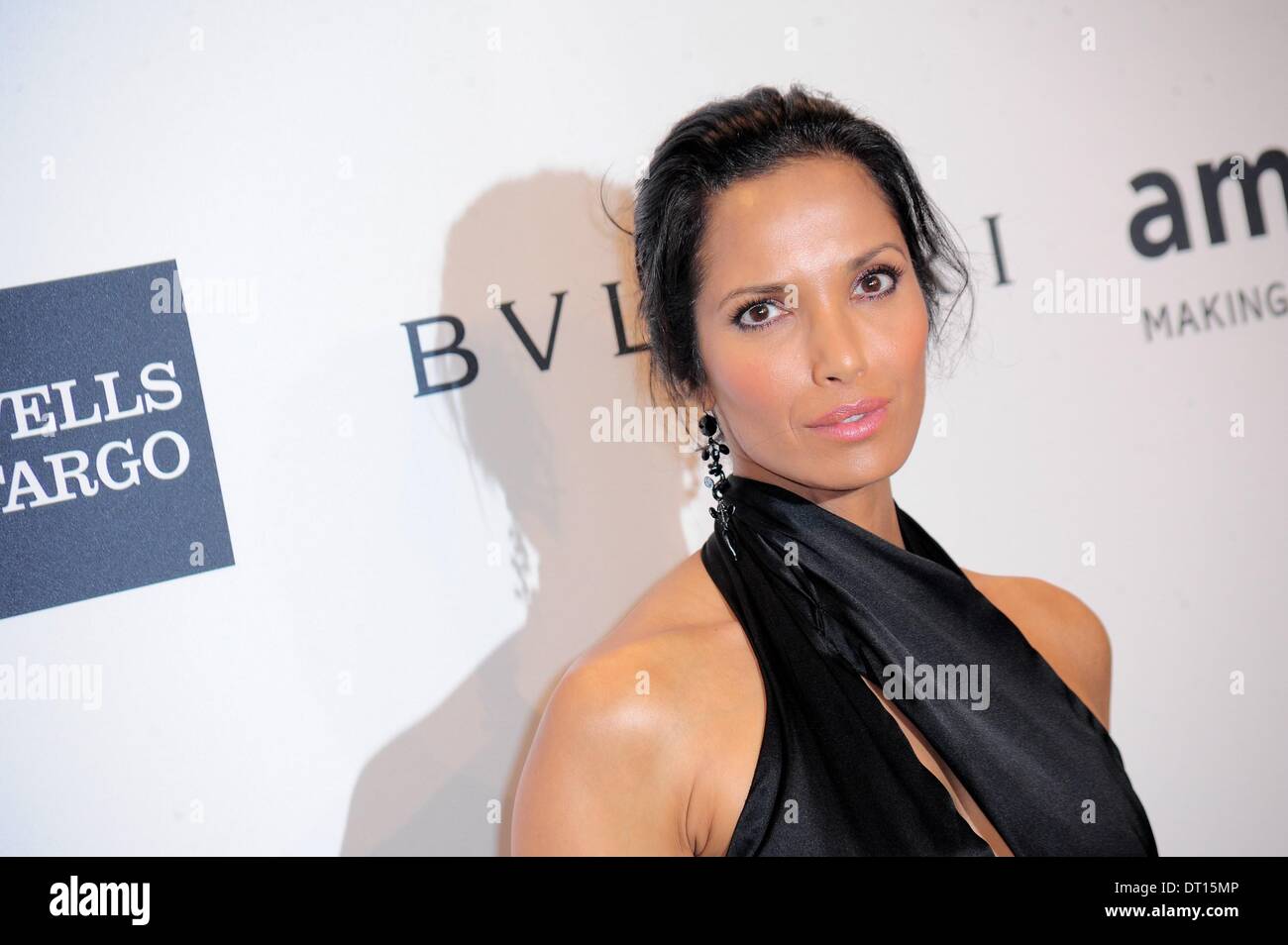 New York, NY, USA. 5th Feb, 2014. Padma Lakshmi at arrivals for amfAR ...