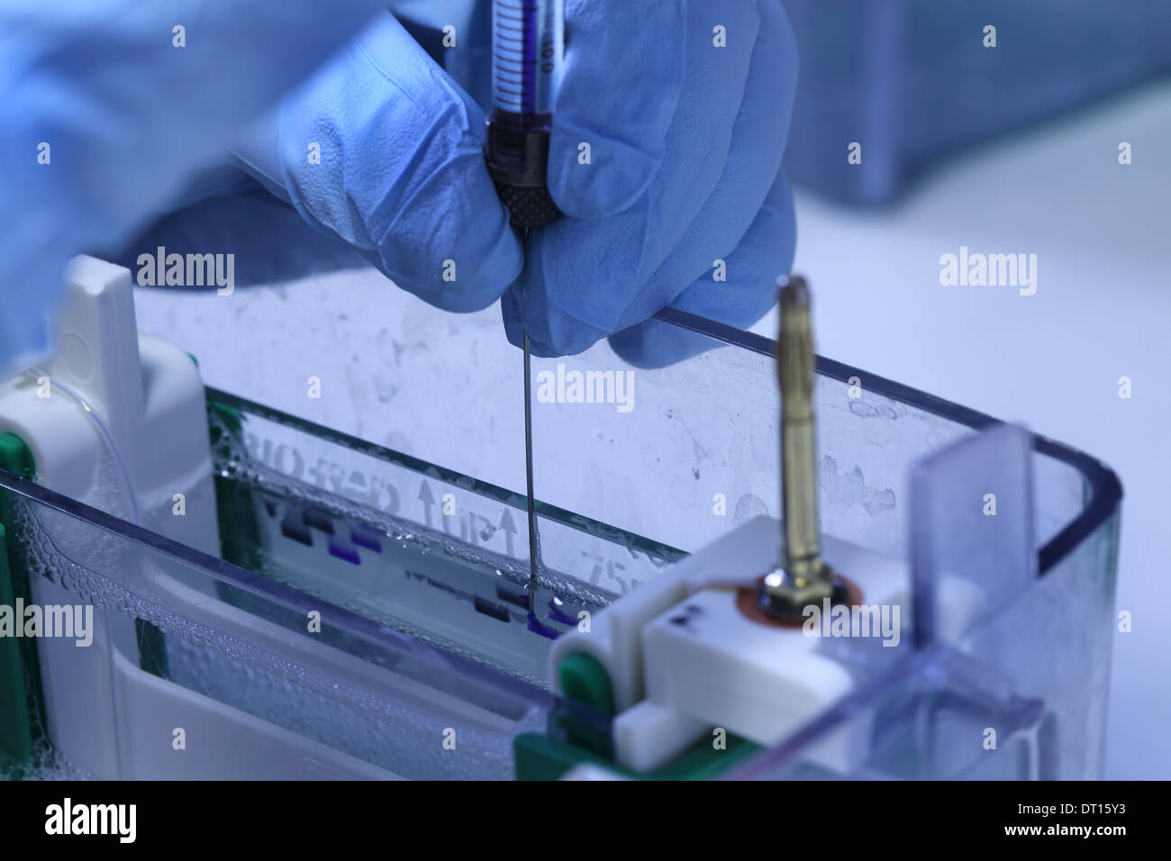 lab tools or work steps in a biological labor of research Stock Photo ...