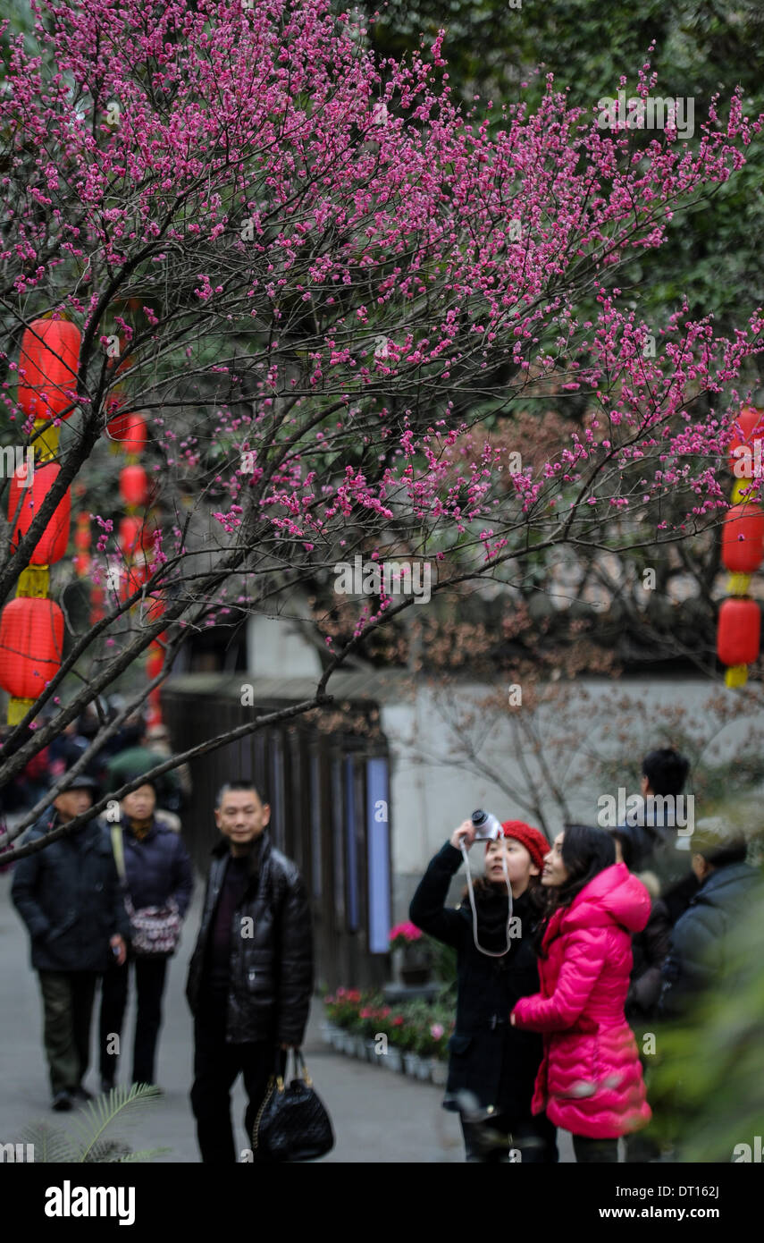Chengdu, Sichuan, China. 06th Feb, 2014. People visit the Du Fu ...