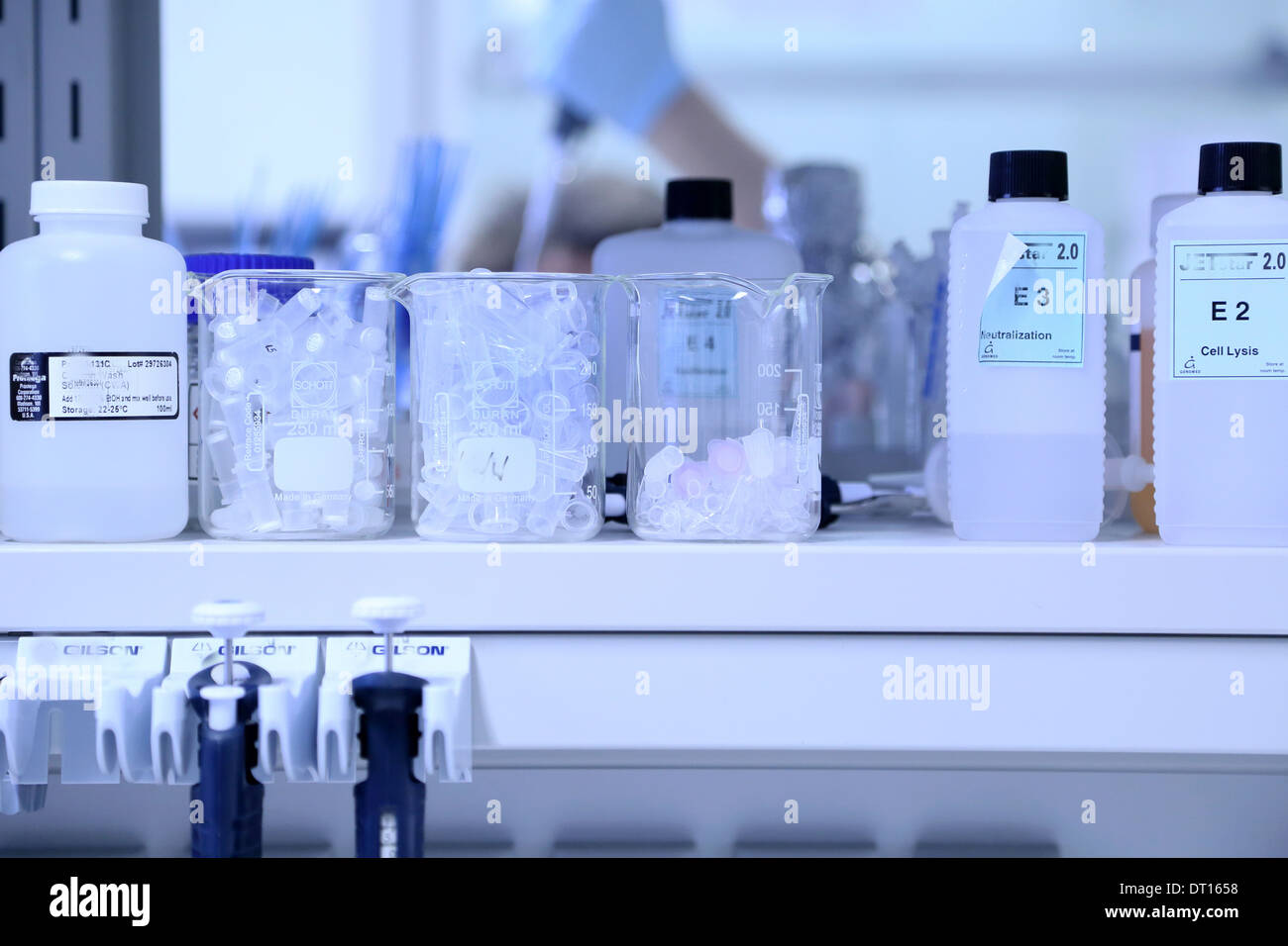 lab tools or work steps in a biological labor of research Stock Photo ...