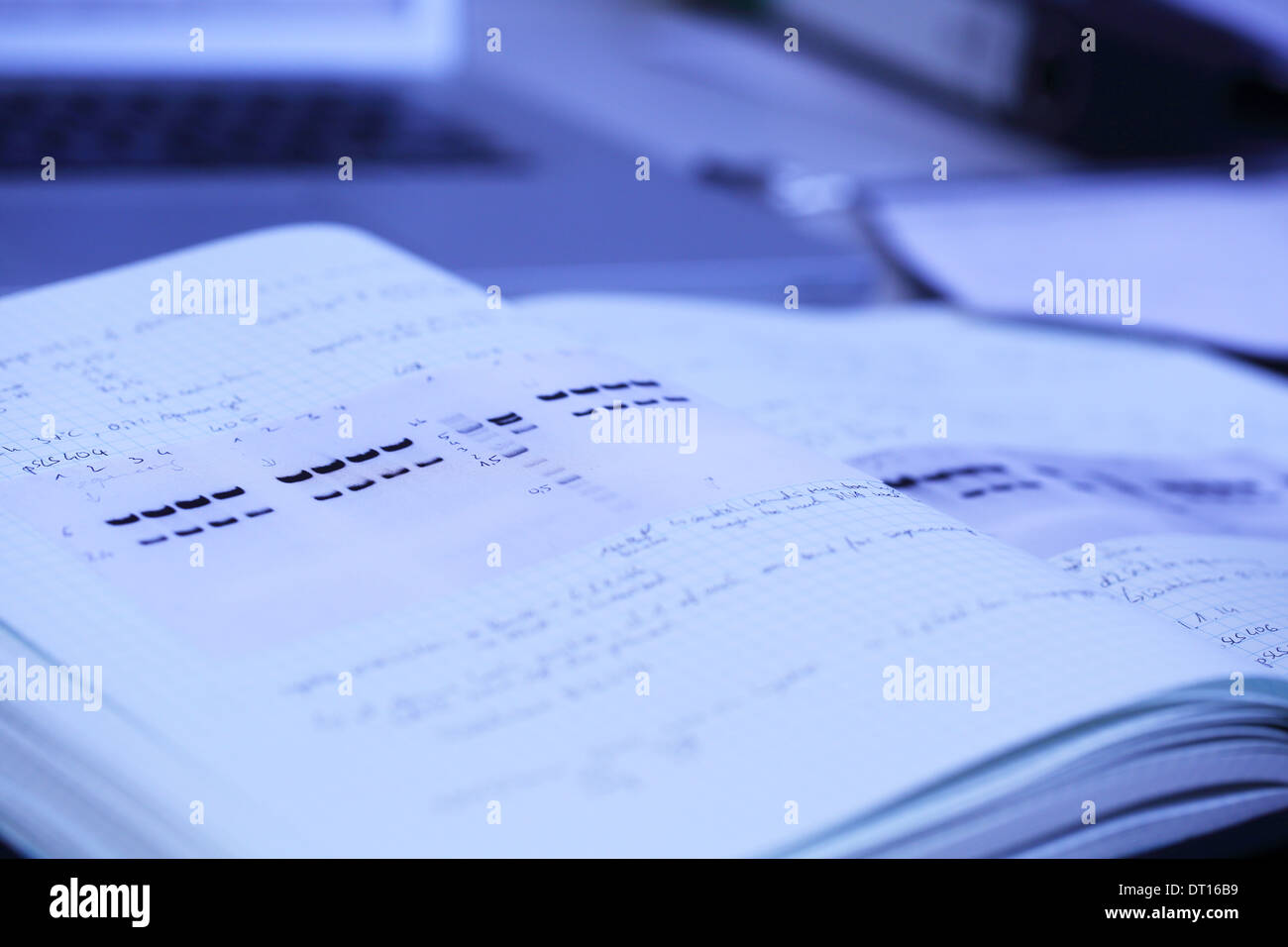 Protocol hi-res stock photography and images - Alamy