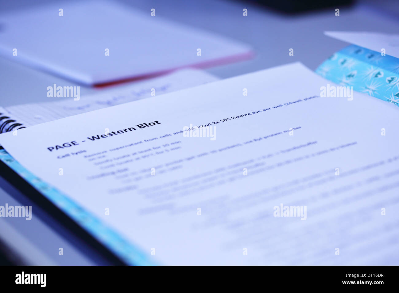 protocol in a research lab Stock Photo - Alamy