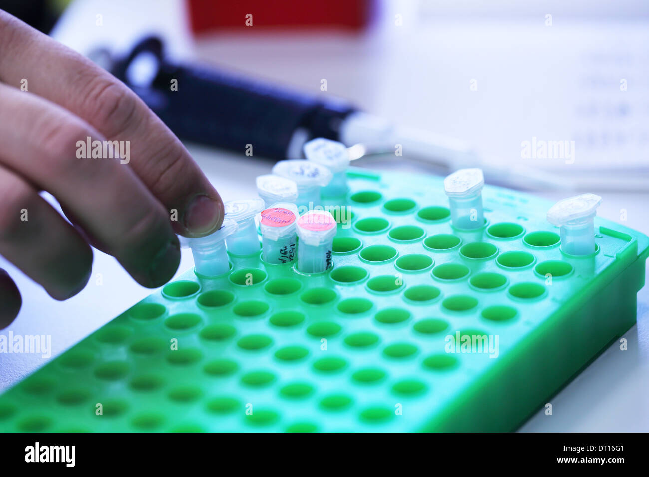 lab tools or work steps in a biological labor of research Stock Photo ...