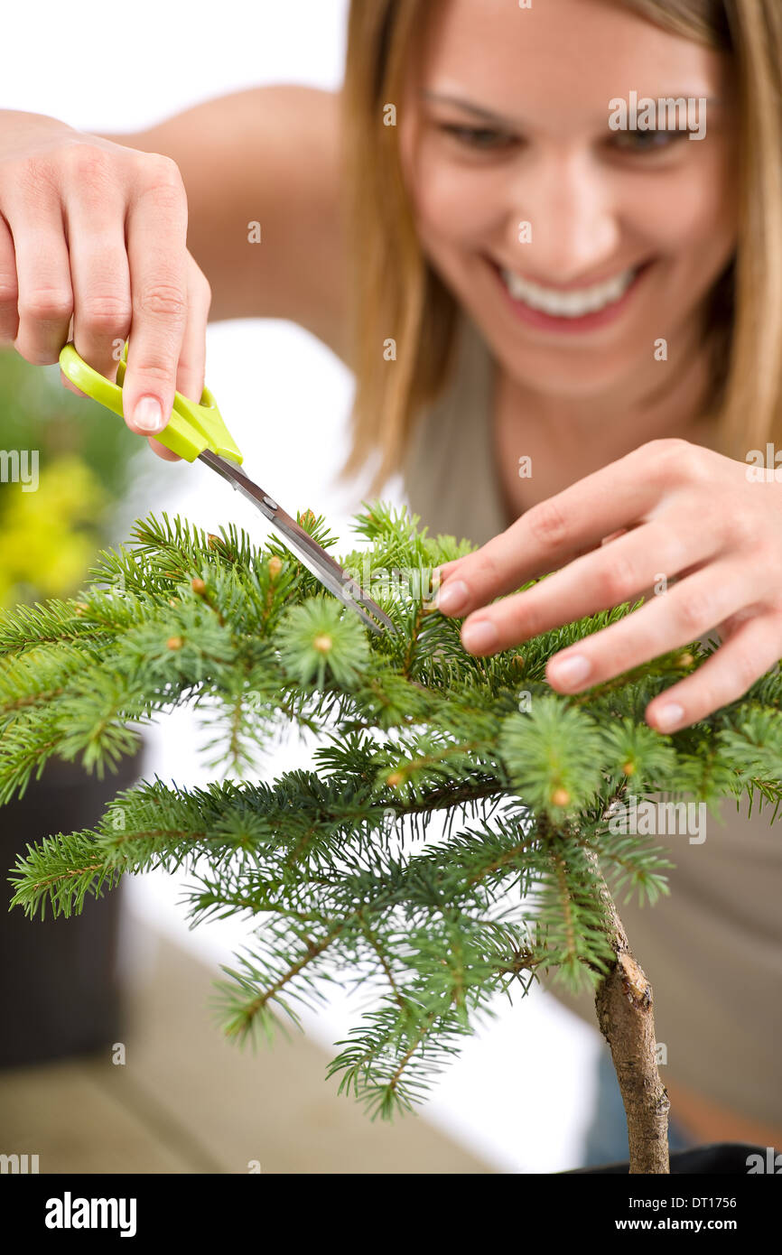 Gardening - woman trimming spruce tree Stock Photo - Alamy