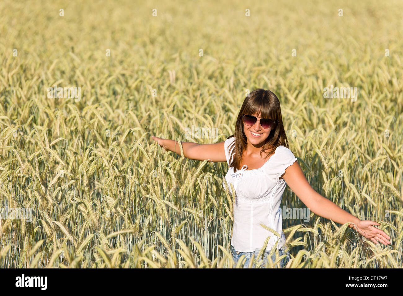 Corn field at sunset hi-res stock photography and images - Alamy