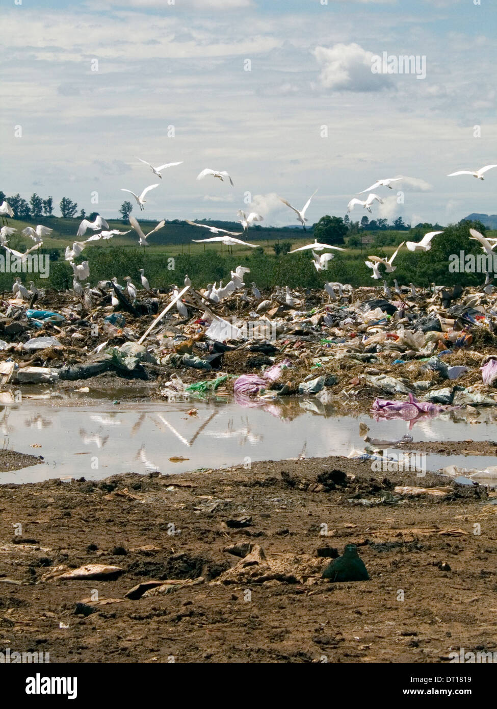 waste management dumping refuge litter landfill Stock Photo - Alamy