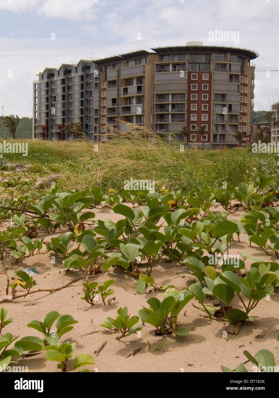 durban point road development Stock Photo - Alamy
