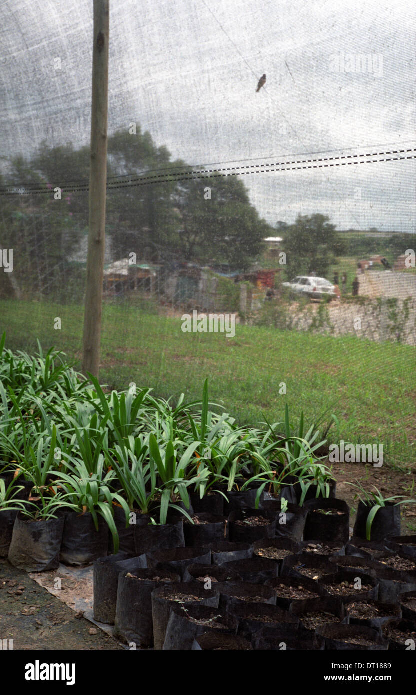 Port shepstone hi-res stock photography and images - Alamy