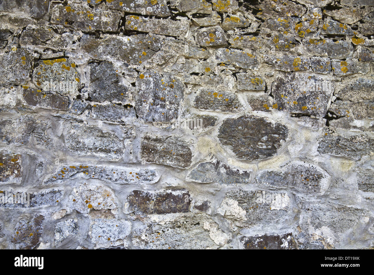 Old castle wall Stock Photo - Alamy