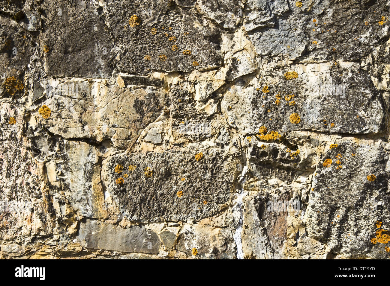 Old castle wall Stock Photo - Alamy