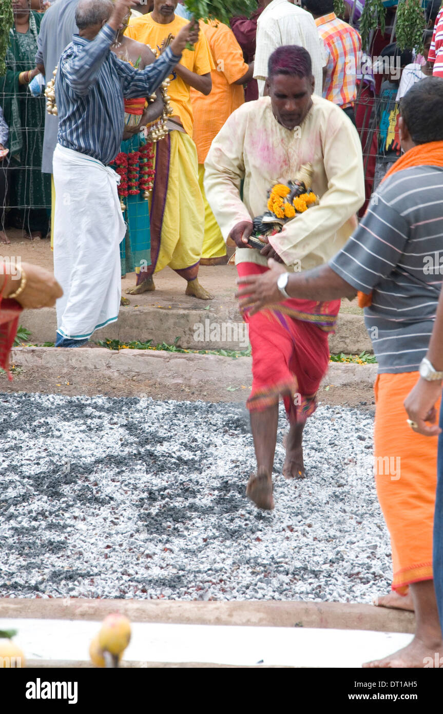 HINDU CULTURE FIRE WALKING BODY PIERCING CARRYING OF DIETYS, HONOUR OF ...
