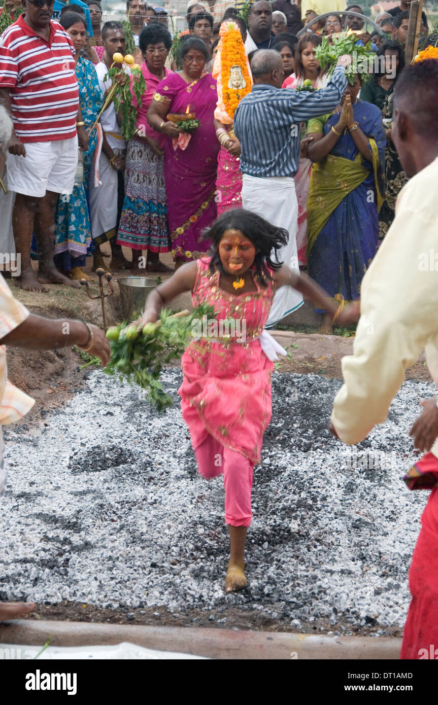 HINDU CULTURE FIRE WALKING BODY PIERCING CARRYING OF DIETYS, HONOUR OF ...
