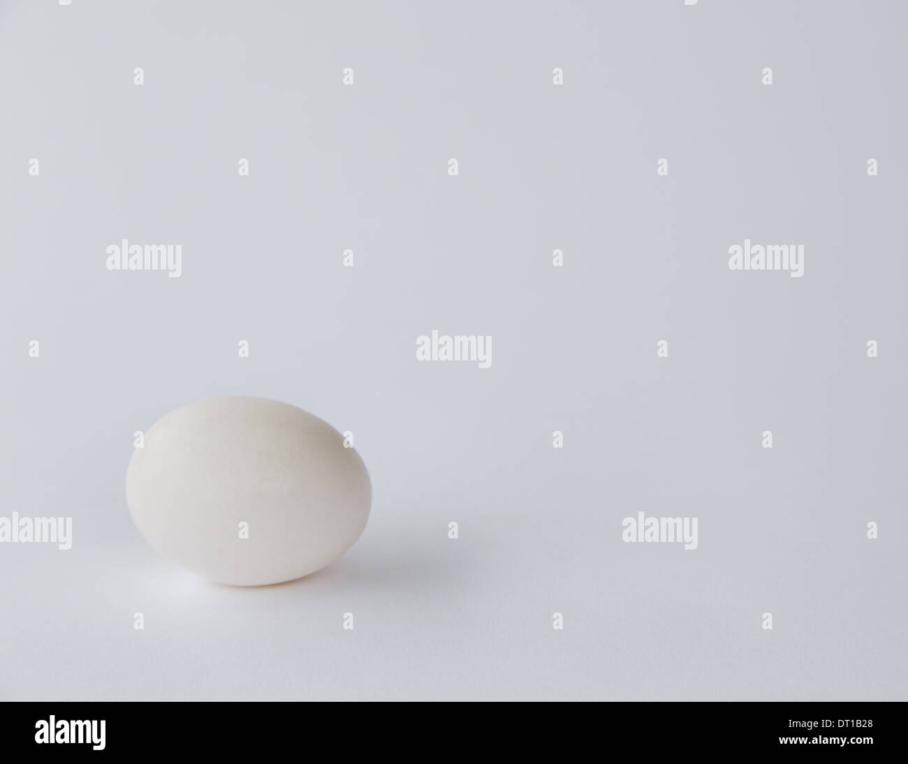 Single white egg hi-res stock photography and images - Alamy